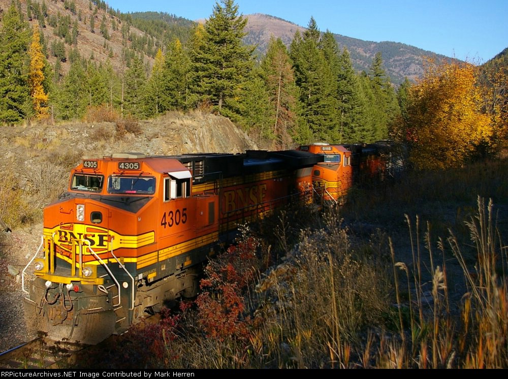 BNSF 4305 West